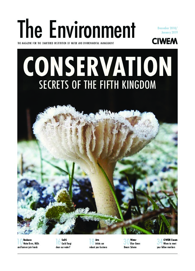 Mycofiltration: Harnessing Fungi to Clean Polluted Water - The Water ...